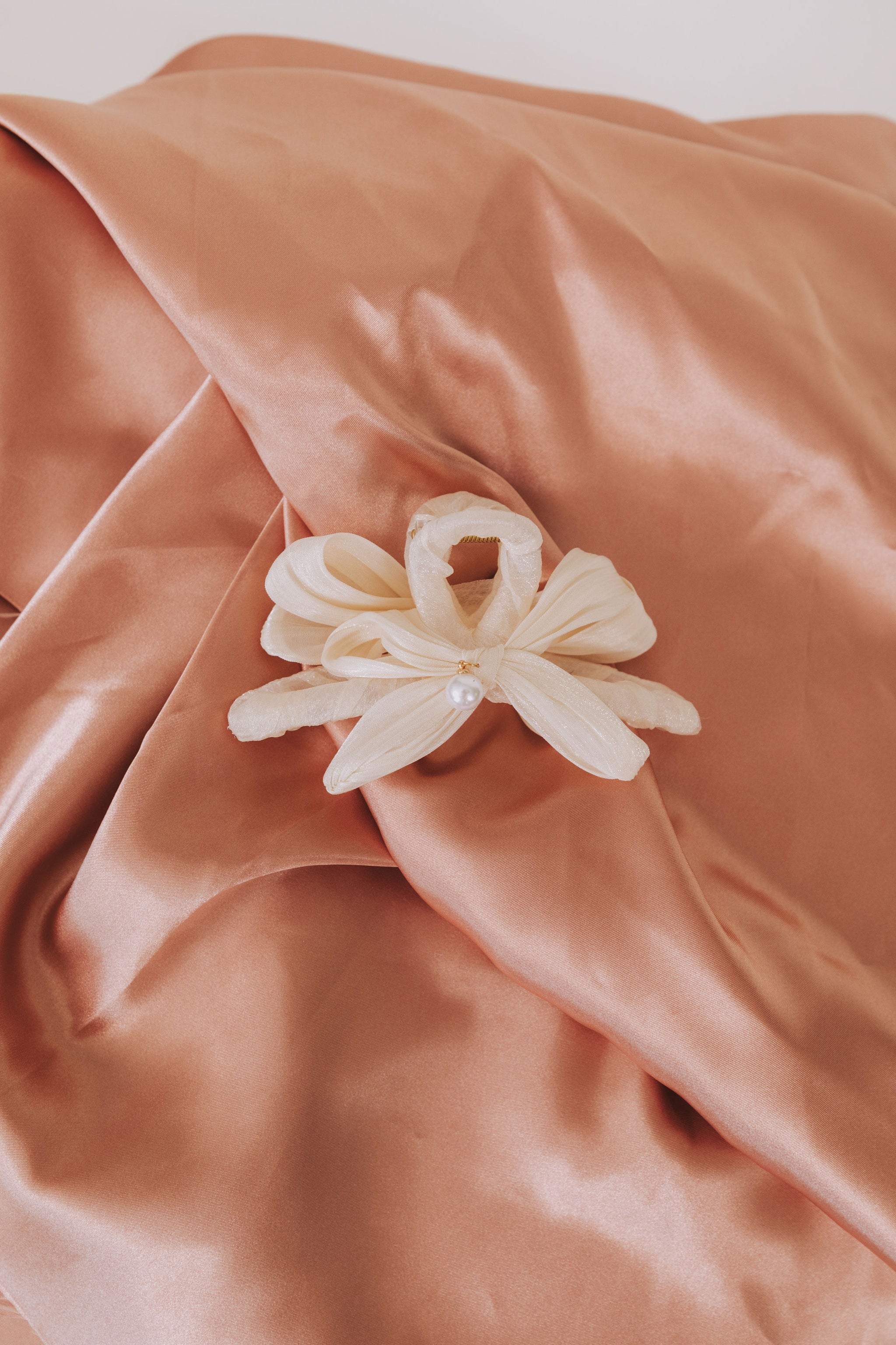 Takes The Cake Claw Clip